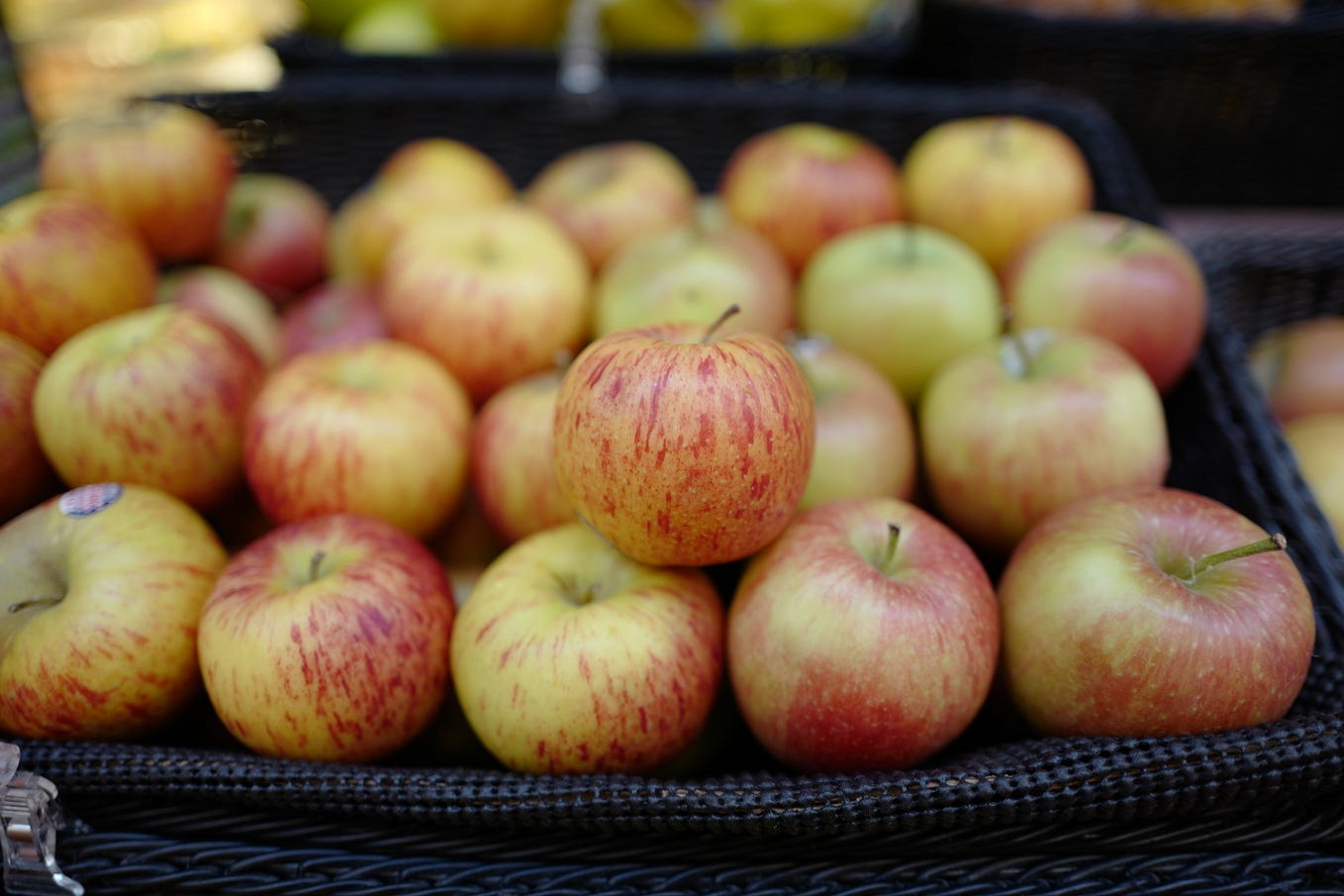 The Three Pillars of Our Next Food System | by Micki Seibel ...