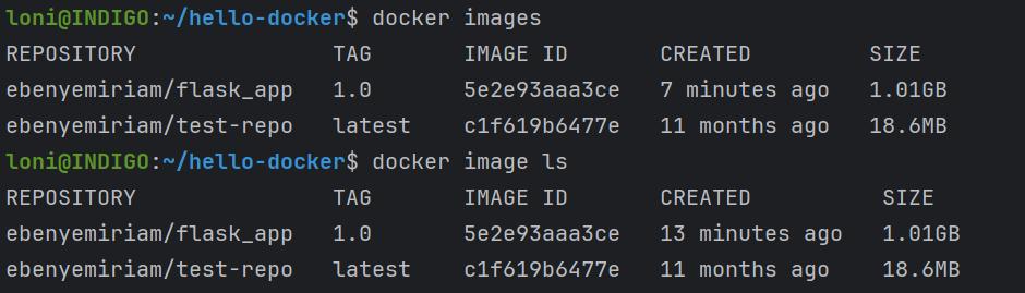 Hosting your first Flask API with Ngrok | by Loni Tande | Medium