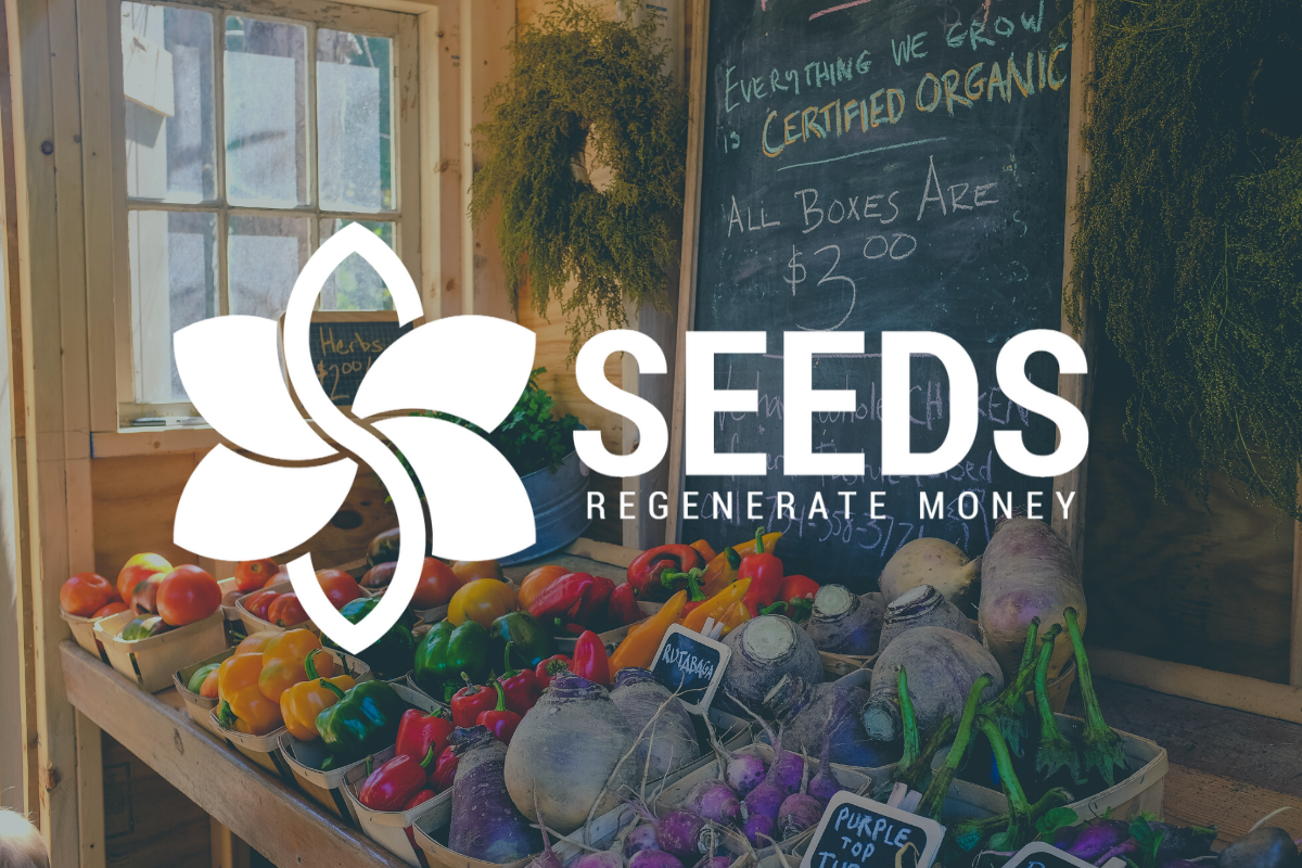 Regeneration and Beyond. If we want to change the trajectory of… | by ...