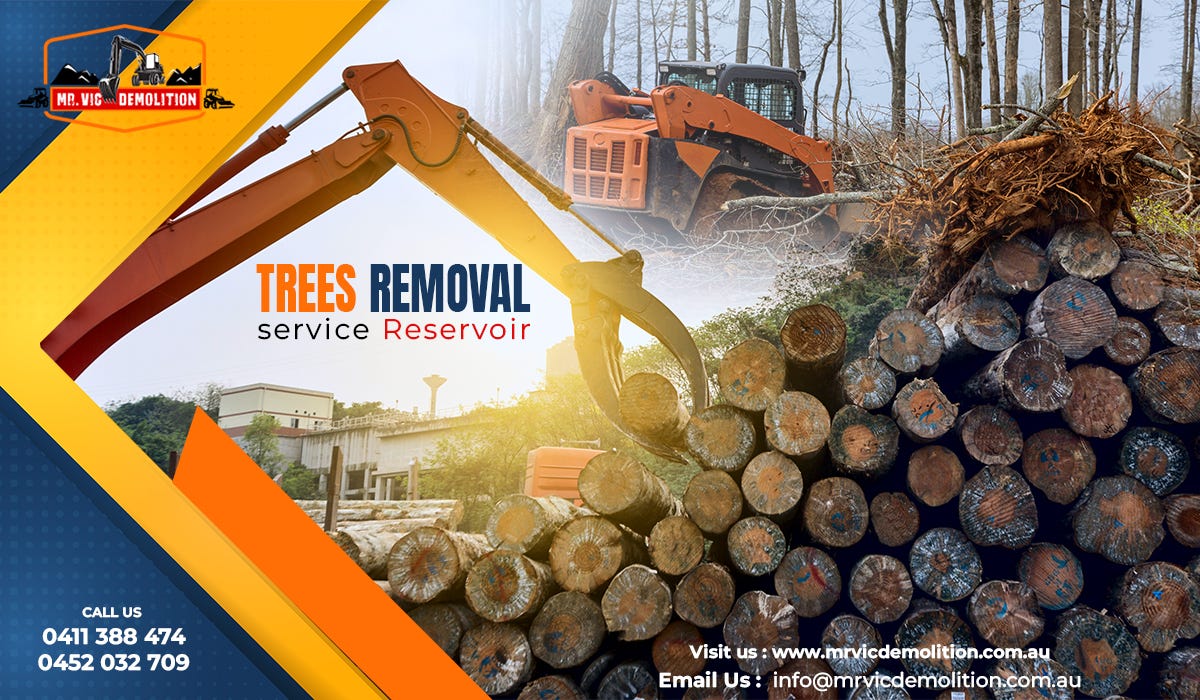 The 7 Benefits of Professional Tree Removal Services | by Mr Vic ...