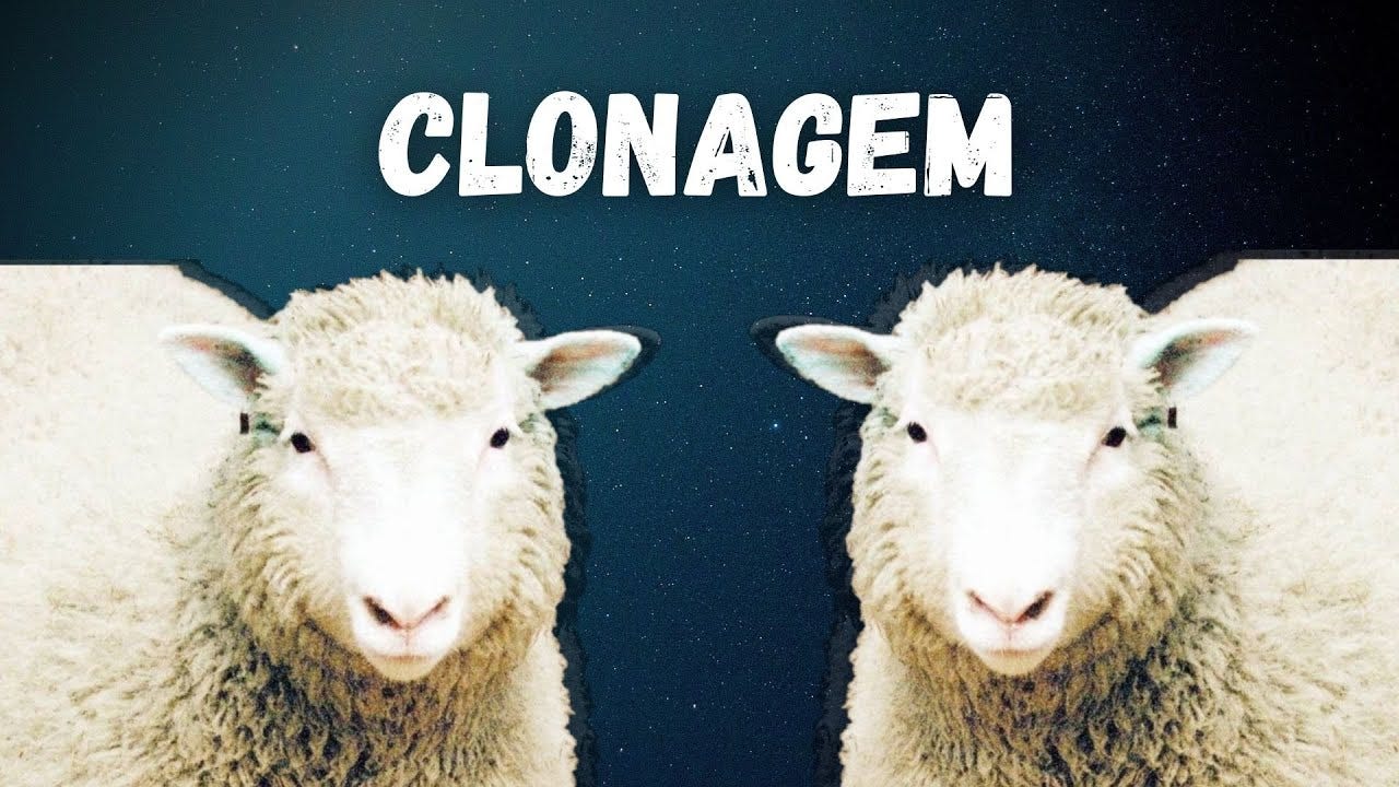 Mutation Tests em c#. O objetivo do teste de Mutação é… | by Rodolfo ...