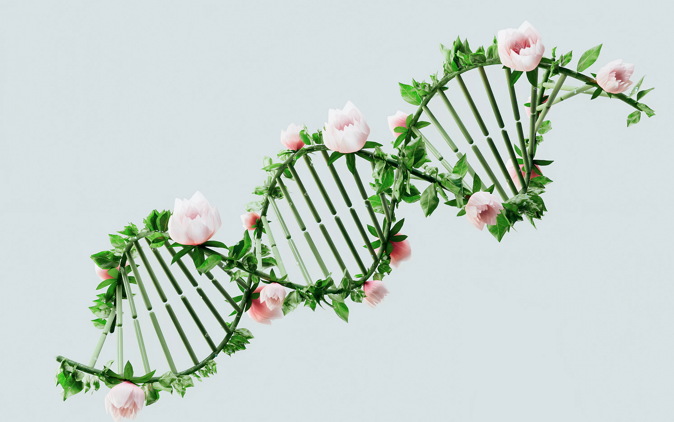 Linear and Logistic Regression with Deep Learning: A Comprehensive Guide | by Lets Code AI | Medium