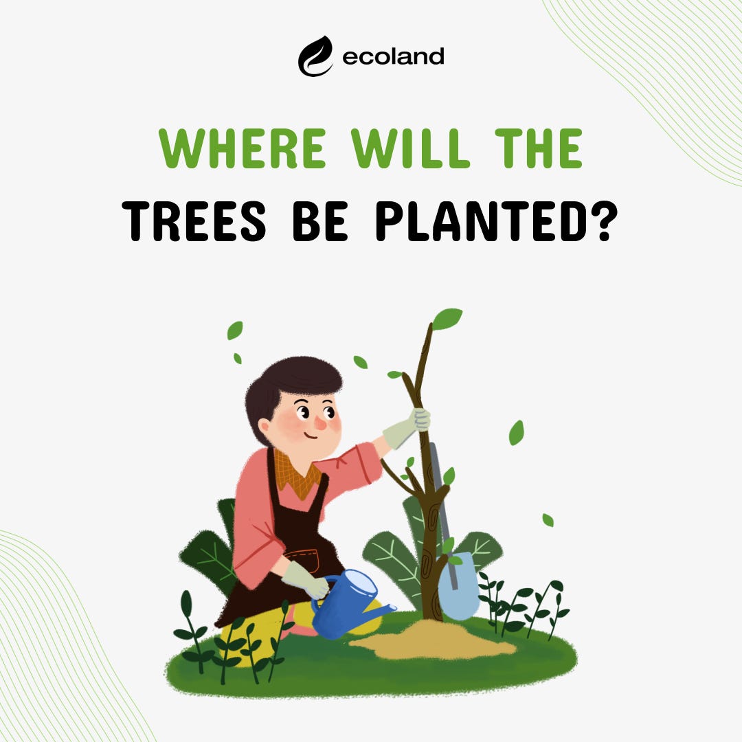 Ecoland 2022 Q2-Q3 Report. Why did we not update the report until… | by ...