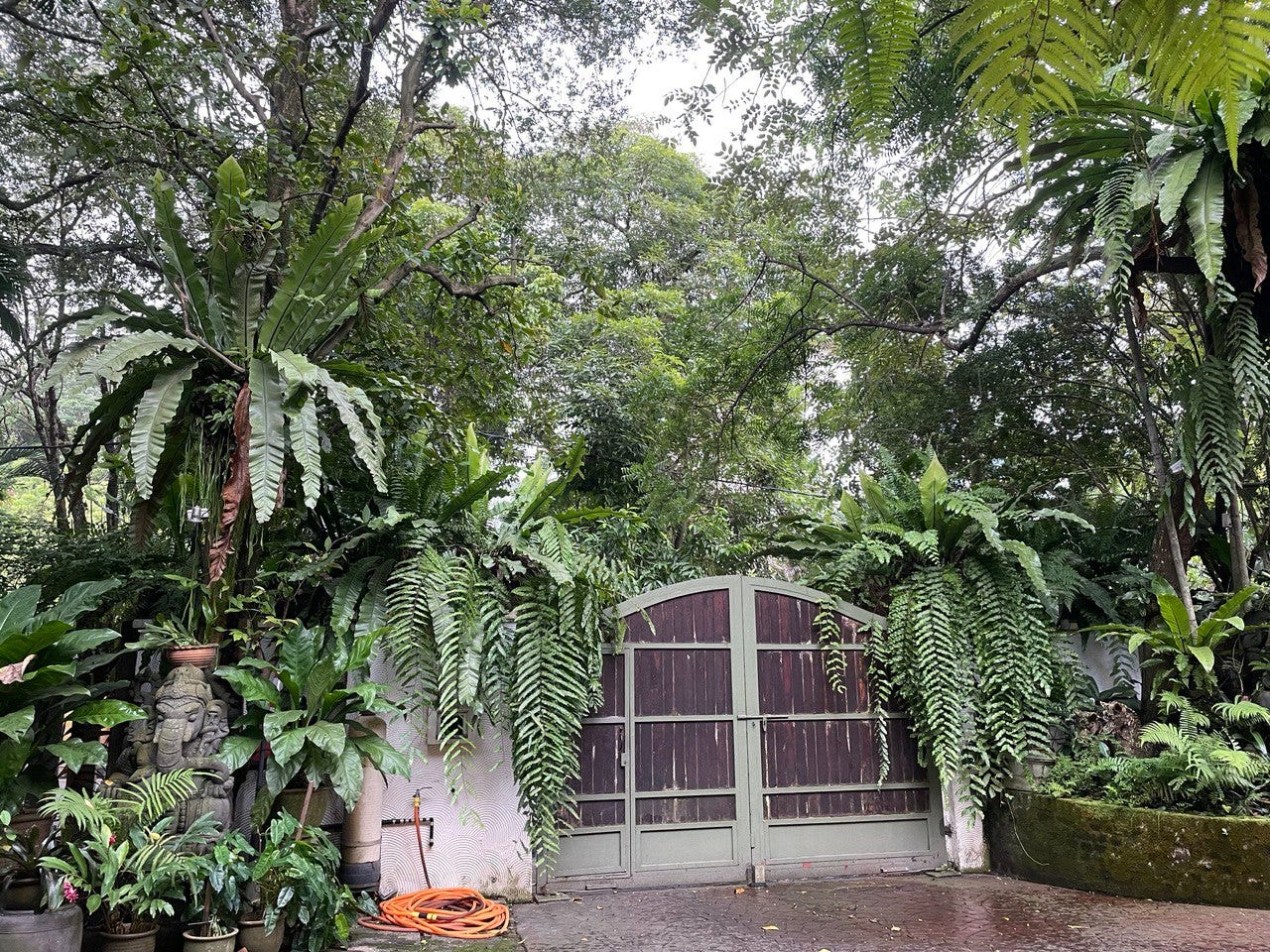 Once a Grand Existence. Your room is bathed in a soft, amber… | by ...