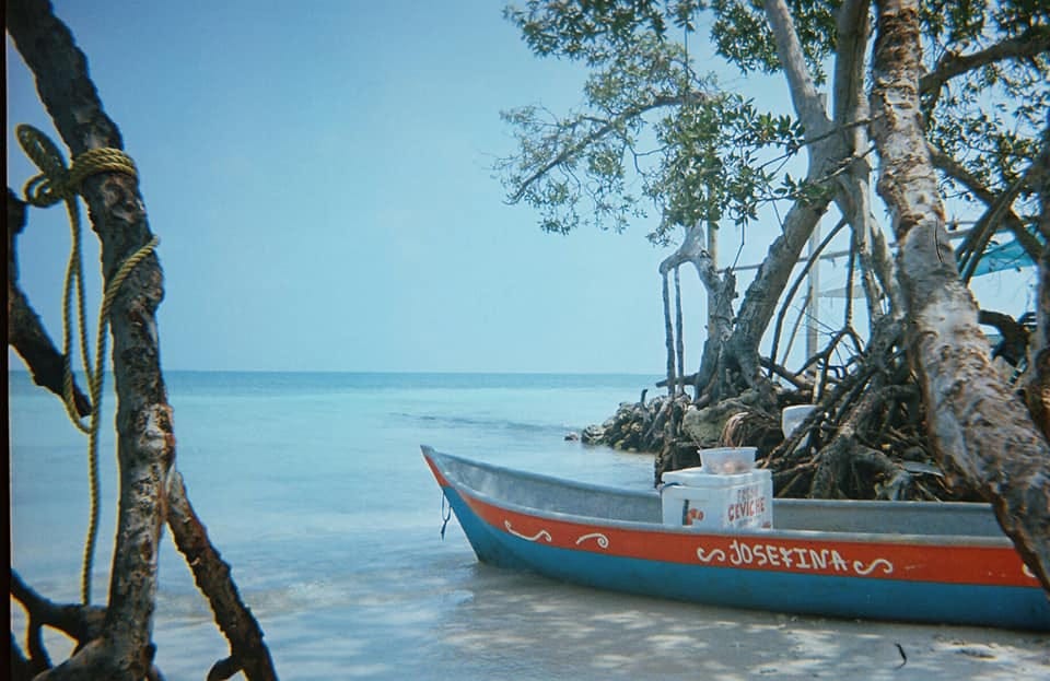 4 (stereo)types of Backpackers | Medium