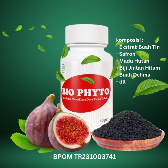 Mengenal Kolesterol dan Potensi Manfaat Pil Hitam Bio Phyto dalam ...