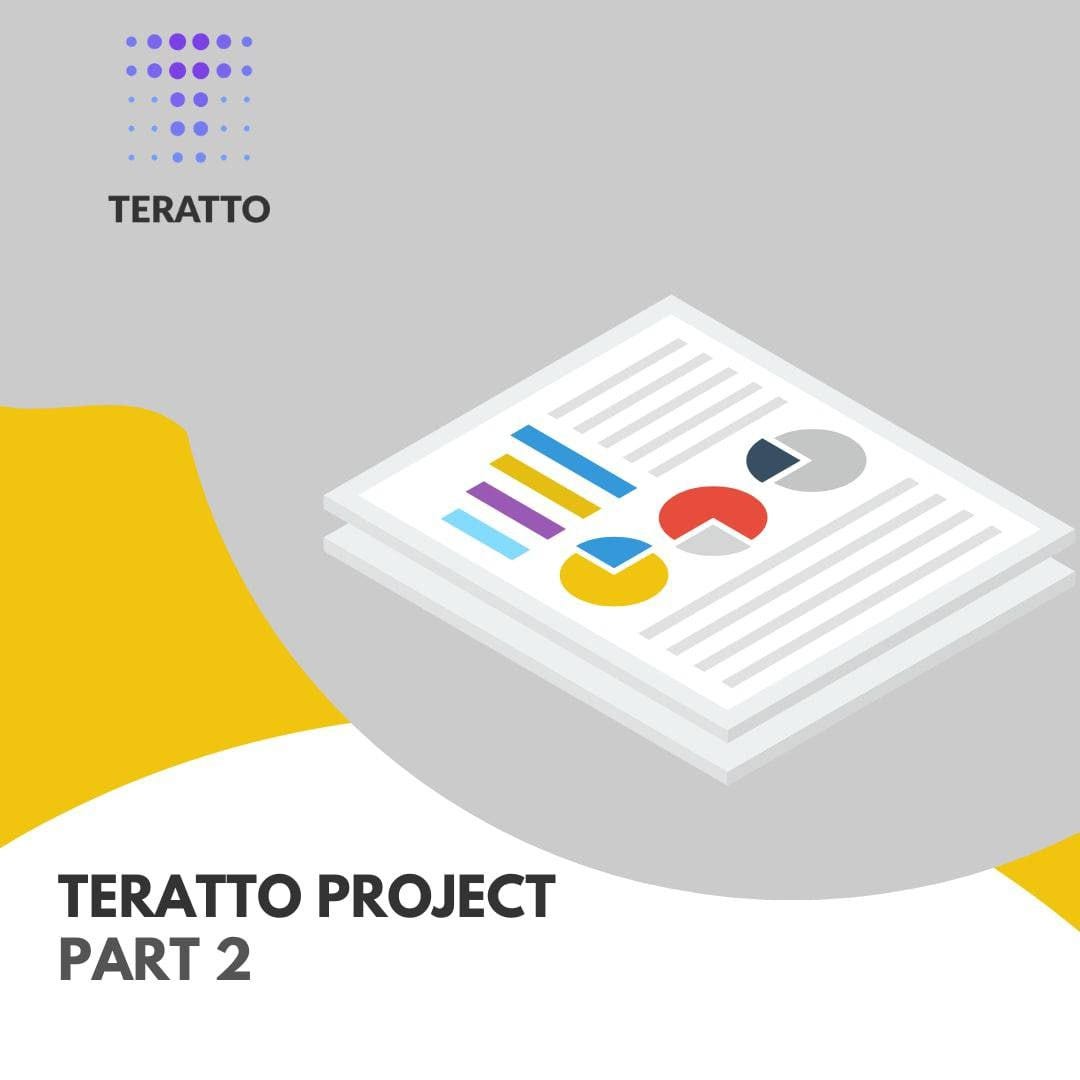 TERATTO PROJECT Part 2. The core of the digital healthcare… | by ...