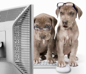 Learning Style: Concrete Random Thinker | by Lauren Kroner | Medium