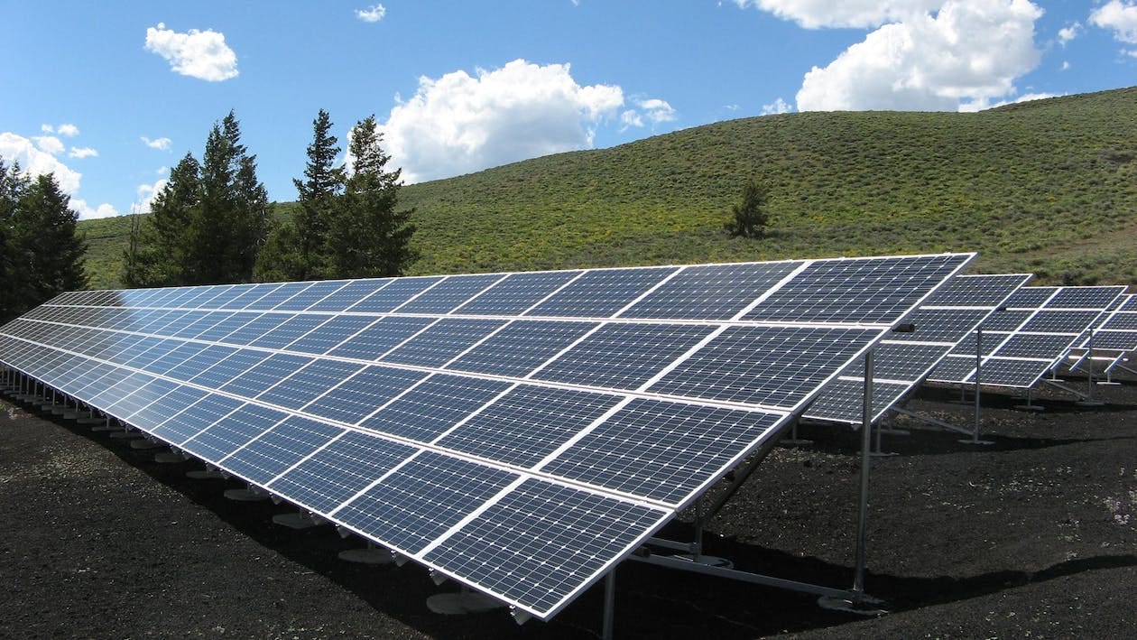 The Future of Public Transit with Solar Panels on Bus Stops | by Bus ...