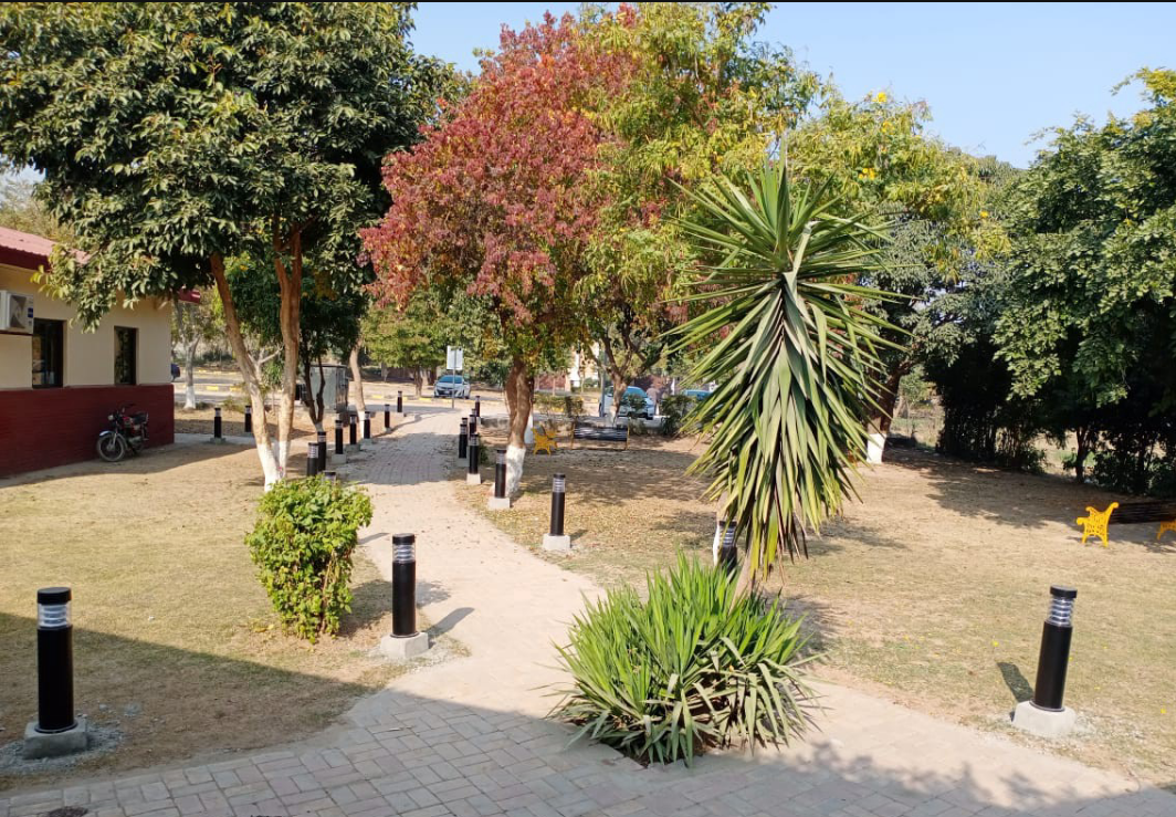 Really good story. Jawad was passionate about helping others especially ...