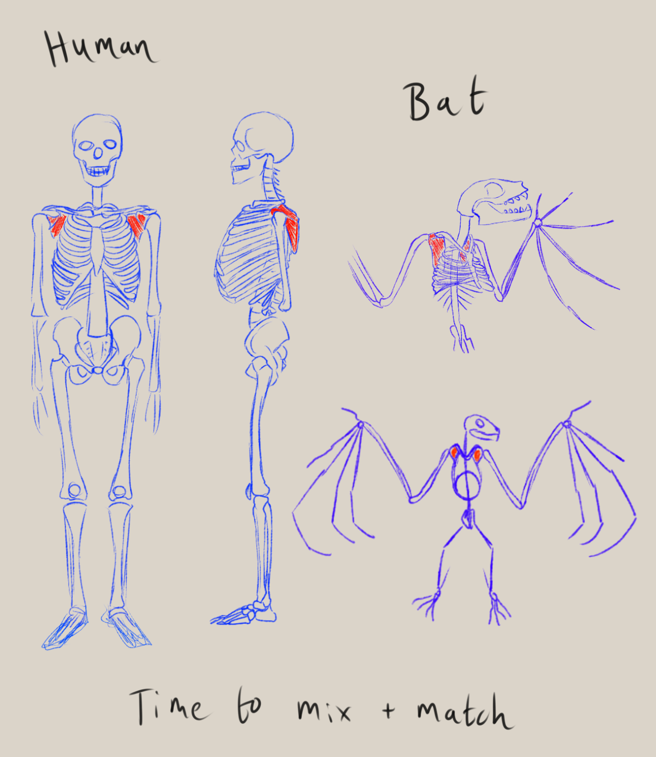 Digitigrade Leg Fixes. There are a few common ways I see… | by Ava M ...