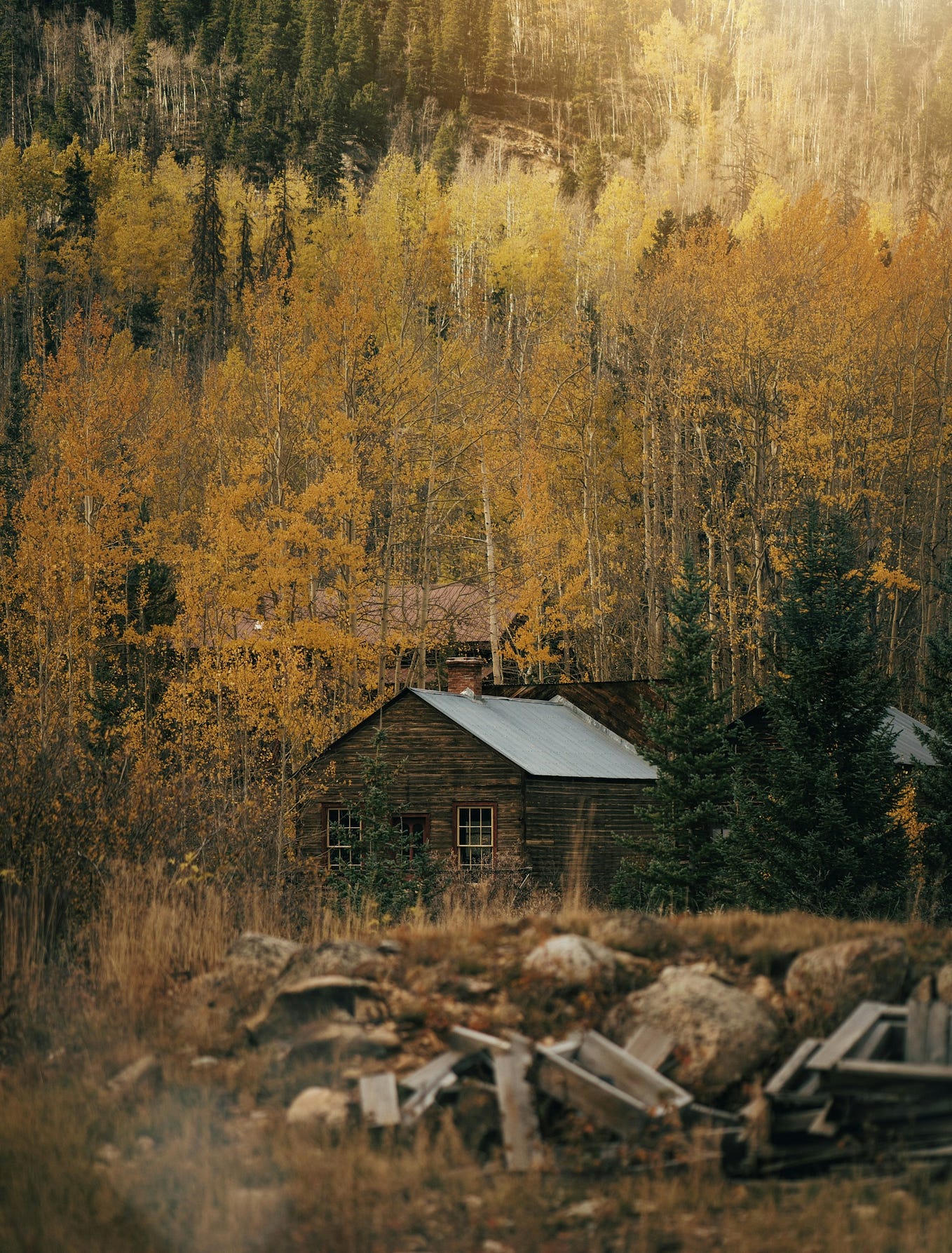 Refuge Diary #144. A diary of survival, loss, and… | by Wednesday ...