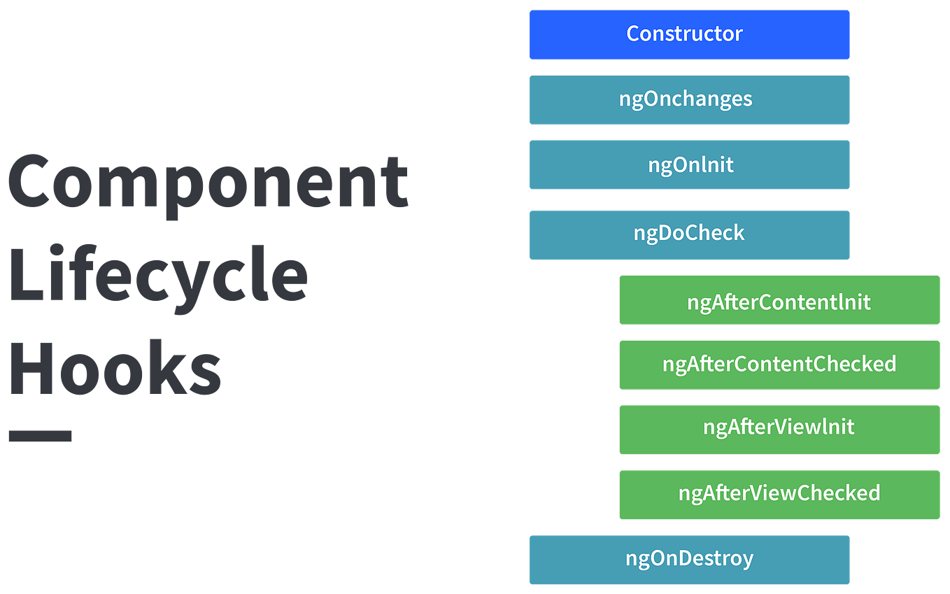 Create a Multi-Page Job Application Form Using Angular | JavaScript in Plain English