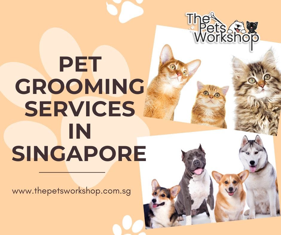 Pet grooming courses in Singapore offer a structured approach to learn ...