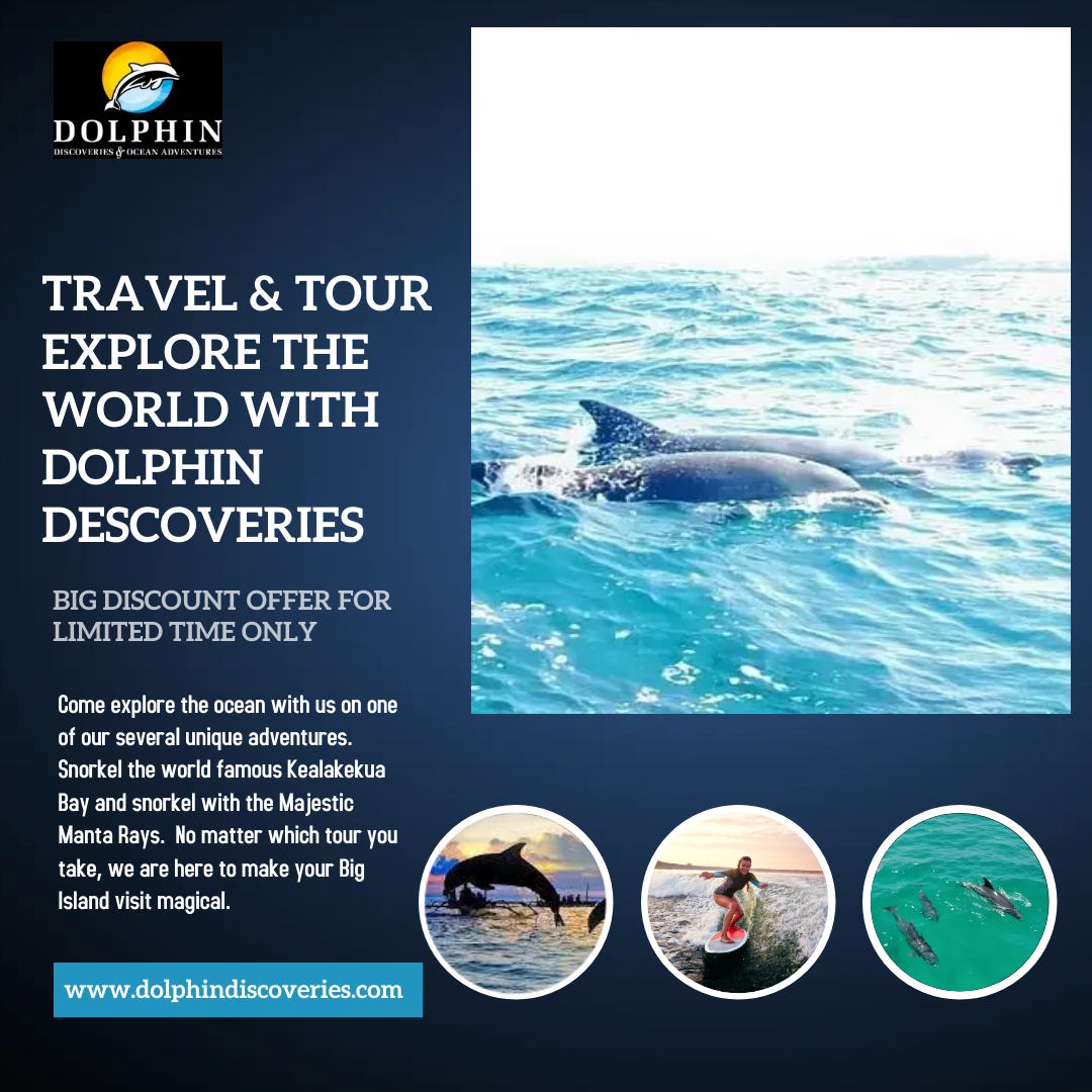 Kona snorkeling - Dolphin Discoveries & Ocean Adventures - Medium
