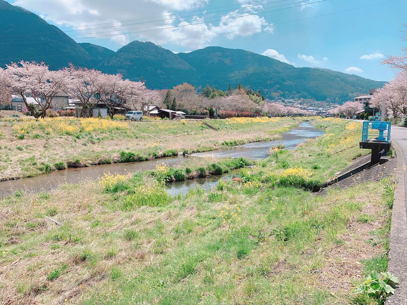 LeetCode題解(1), 動態規劃(Dynamic Programming) 486. Predict the Winner | by Wei-Hong Ho | Ho, Japan ...