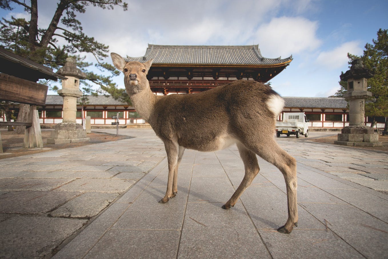 Enka. Gênero popular da música japonesa, o… | by Japan Club BR | Medium
