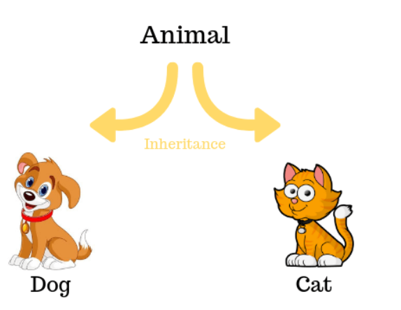 Function V S Generator In Python How They Differ Easy Interview Tip