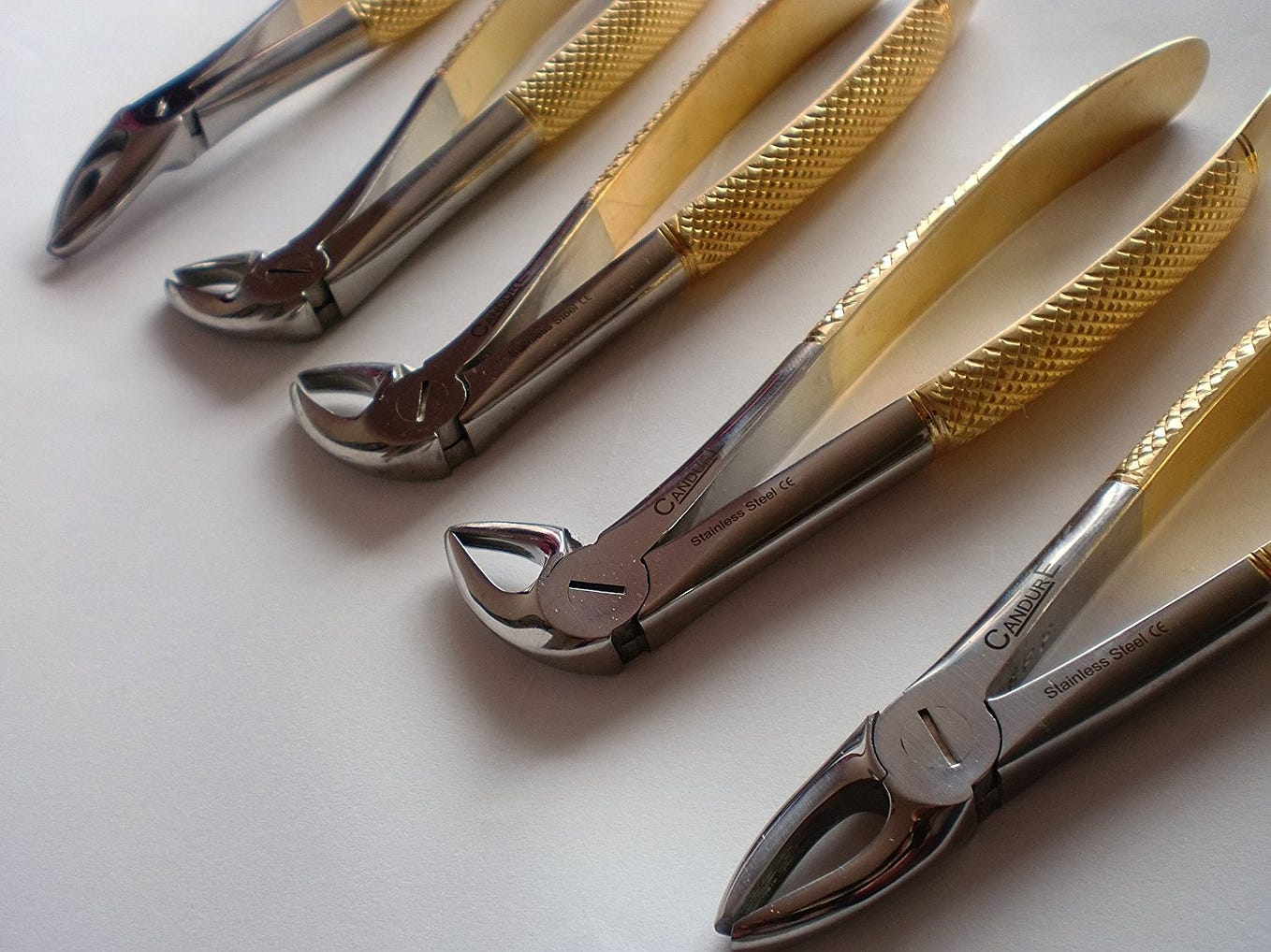 What Do You Know About Your Nails? | by austine labber | Medium