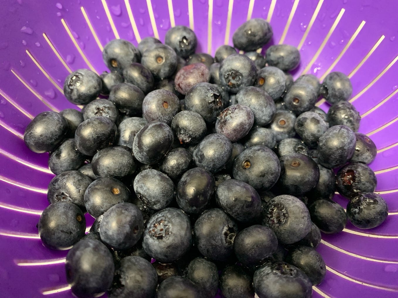 7 Types of Secrets Kept from the Public, 5 Reasons Why, and 10 ...