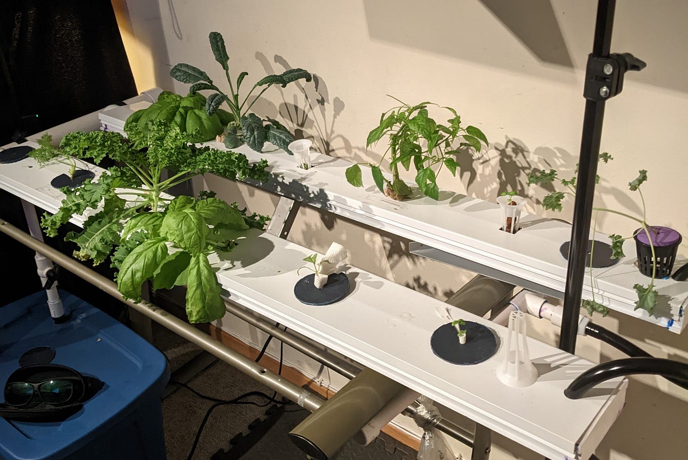 HydroBench: Building an NFT table on the cheap | by ZippyCow | Medium