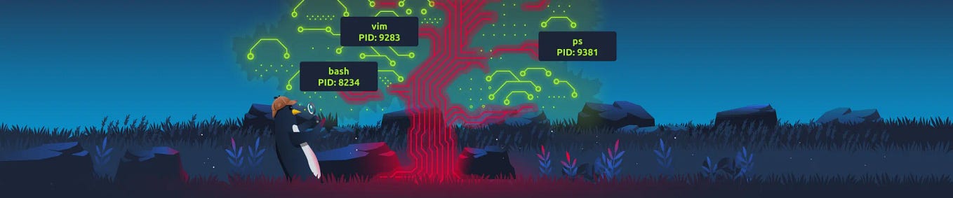 Common Attacks Write Up [tryhackme] By Farhad Anwari Devops Dev