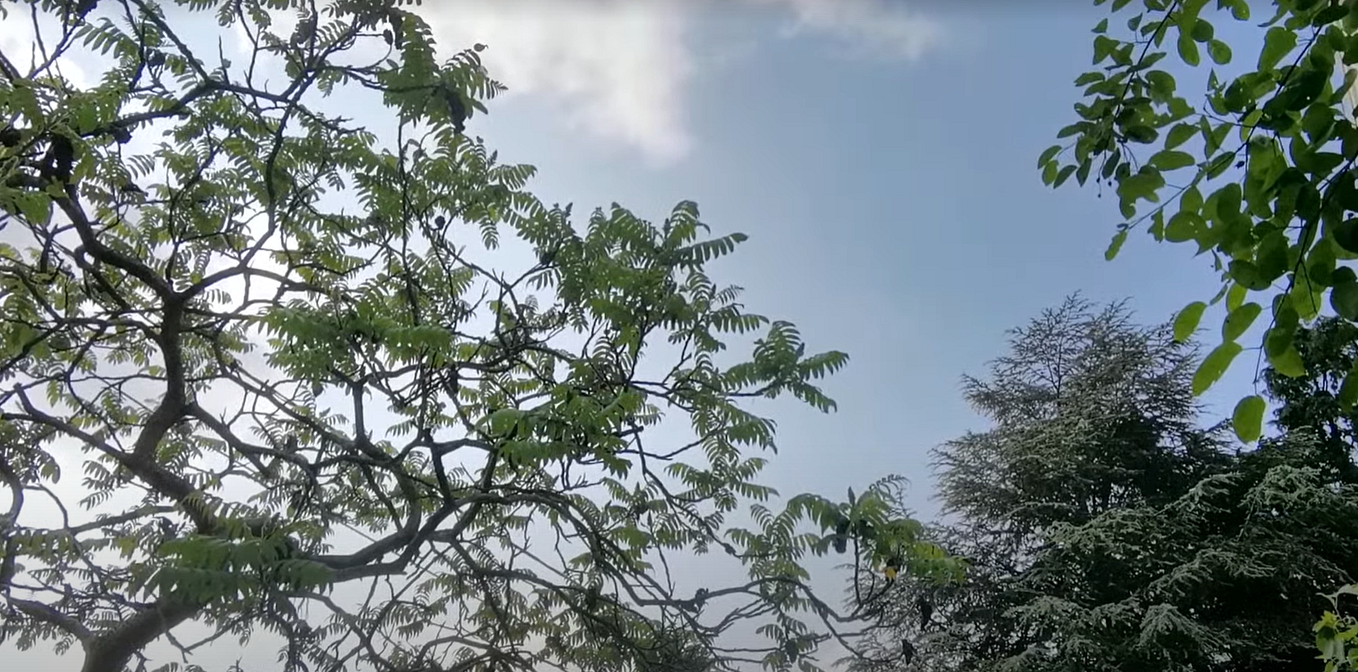 Tables with dynamic data using Angular and Material | by Jesús Chávez Salvatiera | Medium