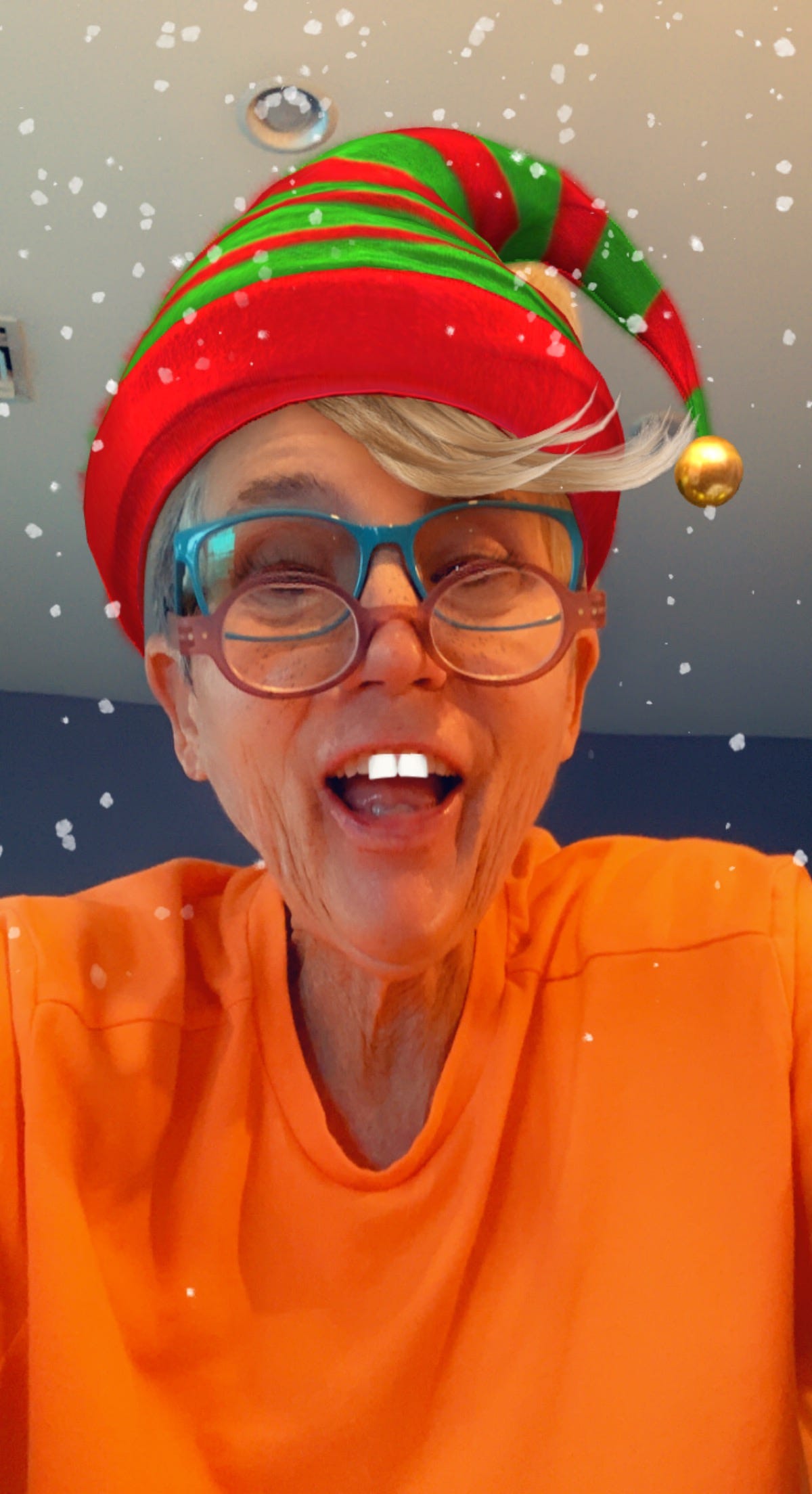 Australia’s Willy Wonka and his Chocolate Frogs | by Nichola Scurry ...