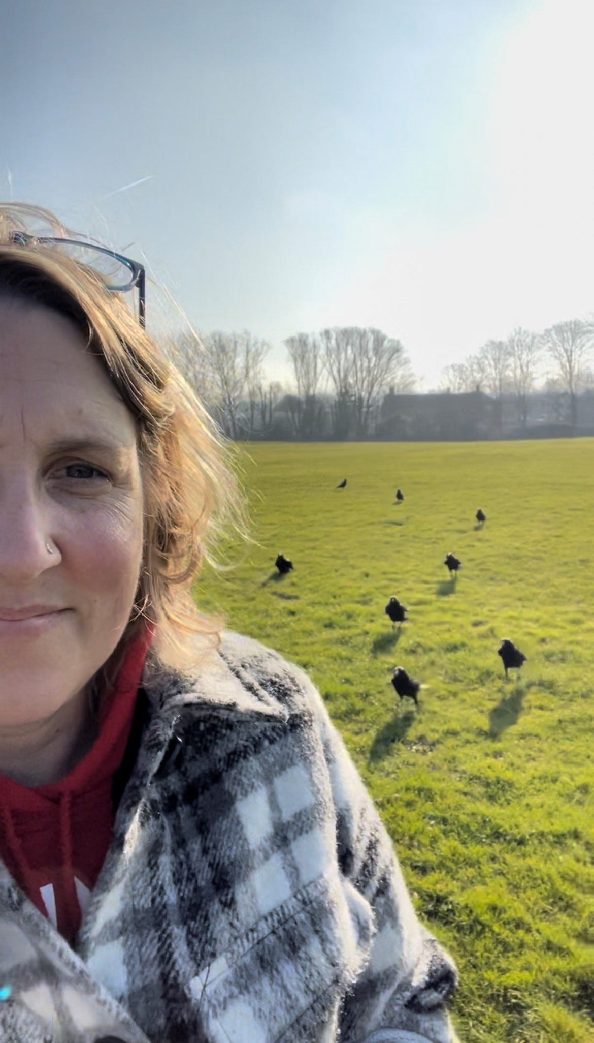 Feeding the Crows: A Quick Guide. As a specialist corvid rehabber, I am ...