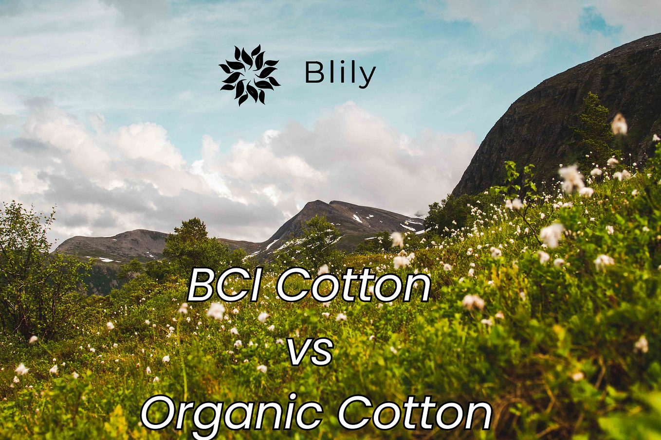 Hemp Clothing: The Eco-Friendly Future of Ethical Fashion | by Blily ...