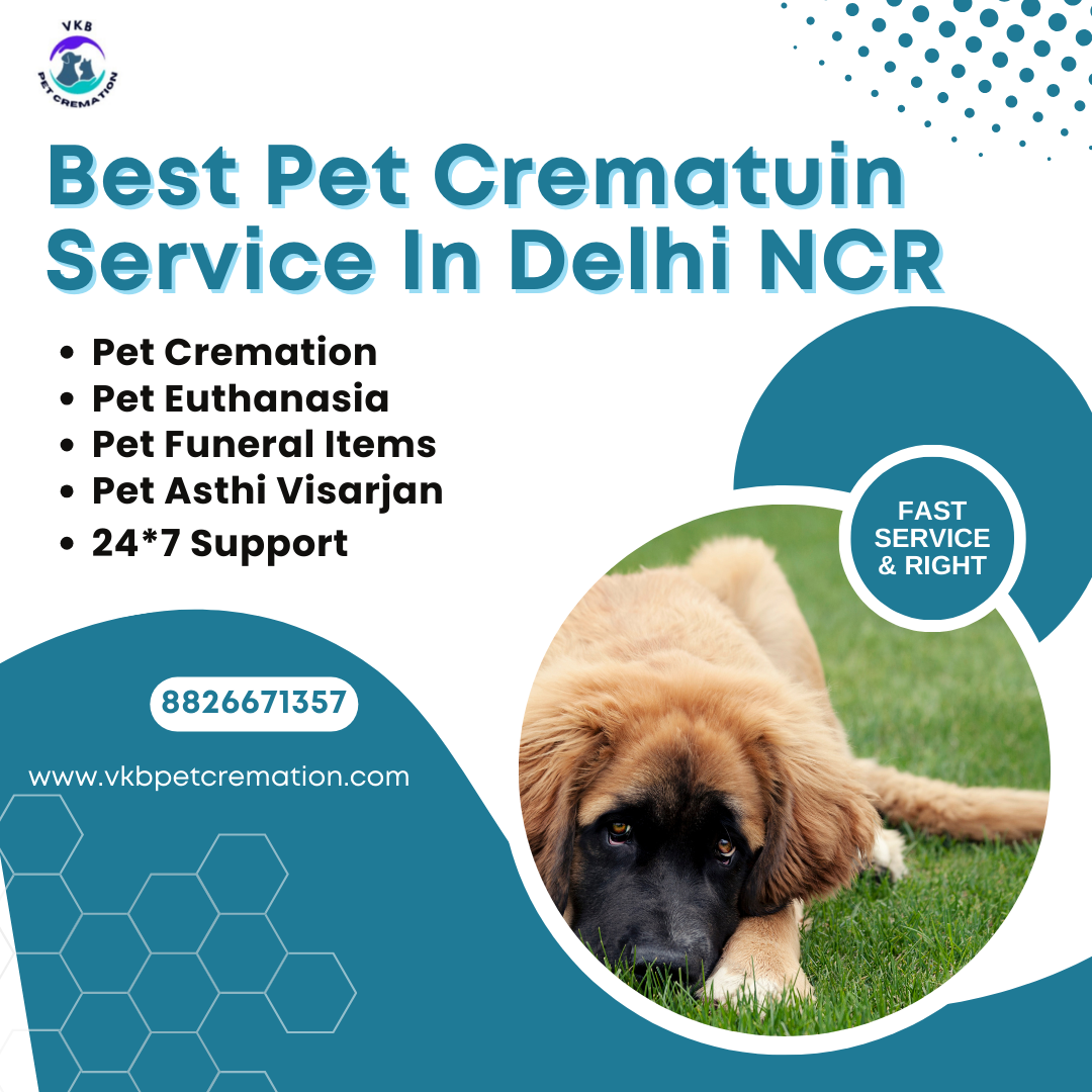 PET AND DOG FUNERAL SERVICE IN DELHI NCR - VKB Pet Cremation - Medium