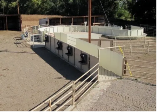 What Are The Qualities Of Top-Notch Small Beef Cattle Barns? | by ...