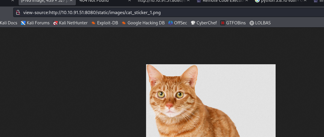 Simple CTF/EasyCTF — TryHackMe Write-up | by James Jarvis | Medium