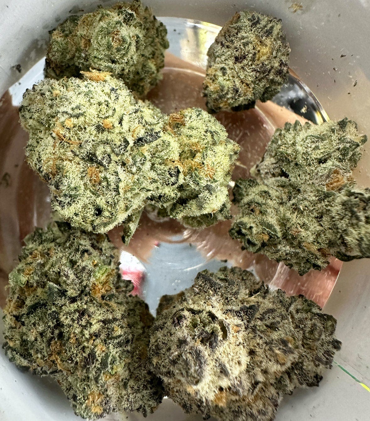 Exploring Houston’s Dispensaries: The Rise of THCA Hemp Flower | by CannaWize | Apr, 2024 | Medium