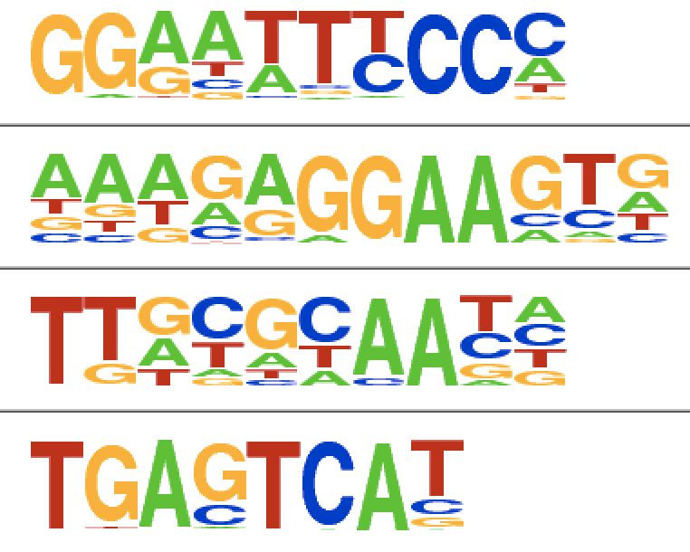Merging FASTQs: What to do if you have several FASTQ files for each ...