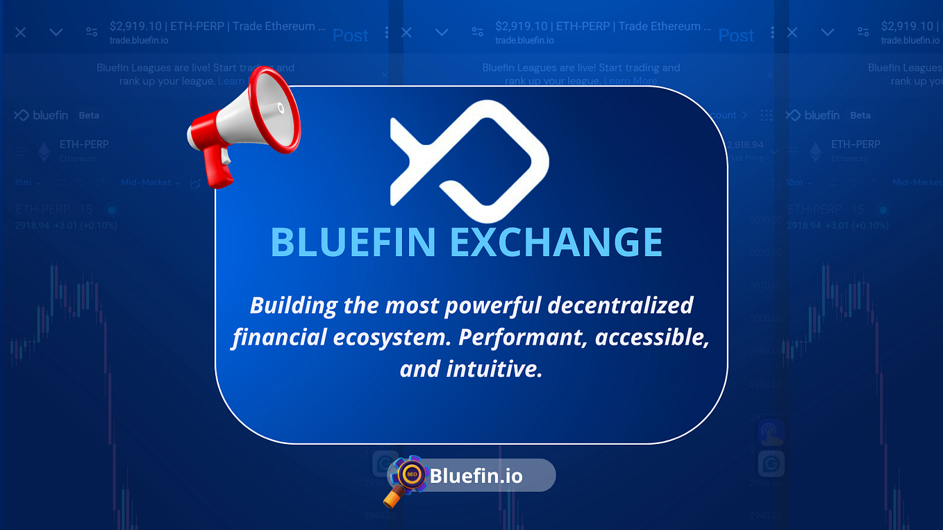 A Comprehensive Analysis of USDC’s Role in Bluefin’s Margin and Risk ...