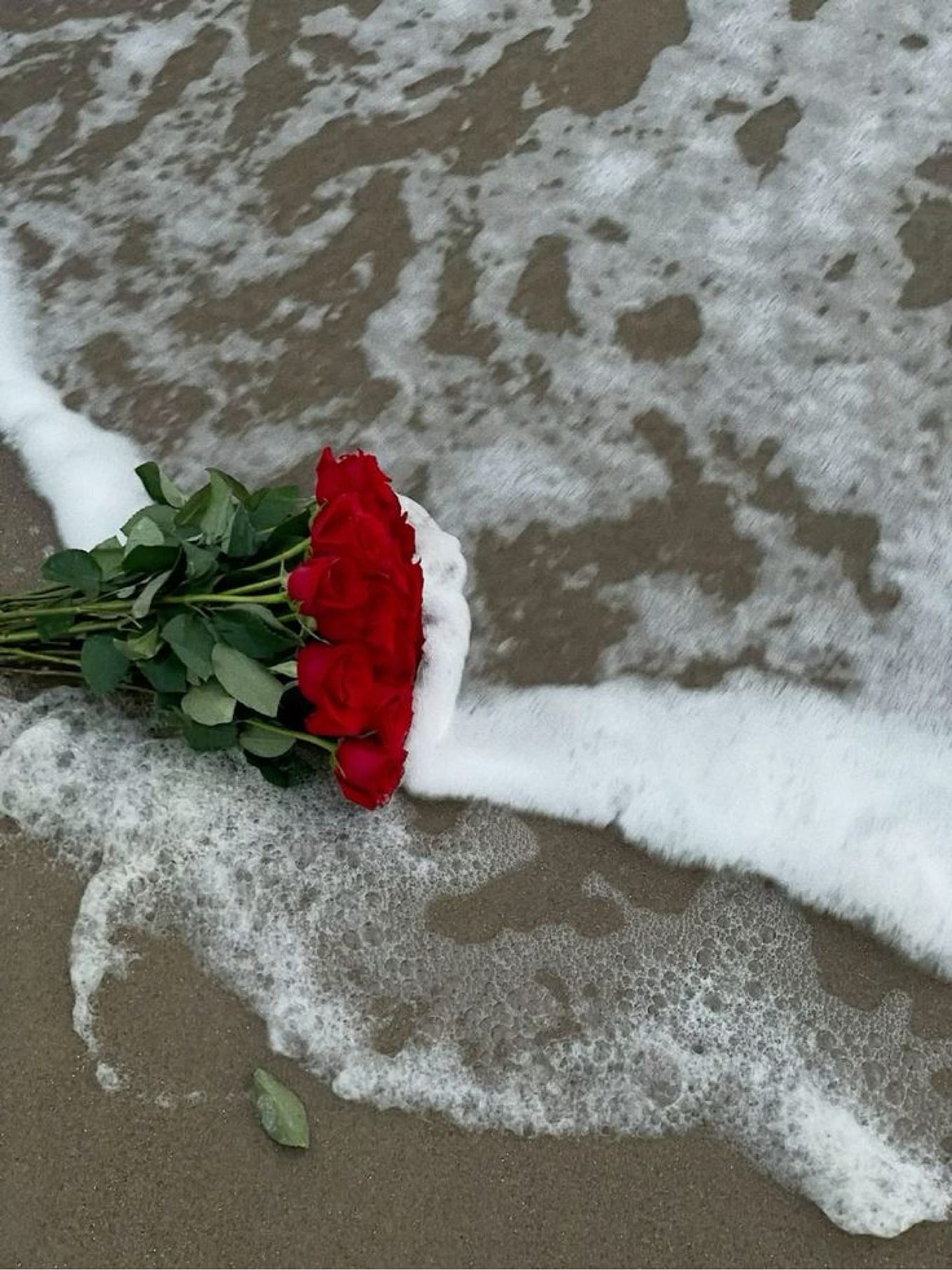 The Untold Truth of Life. Facts that Make Us Think | by Rohan Agnihotri ...