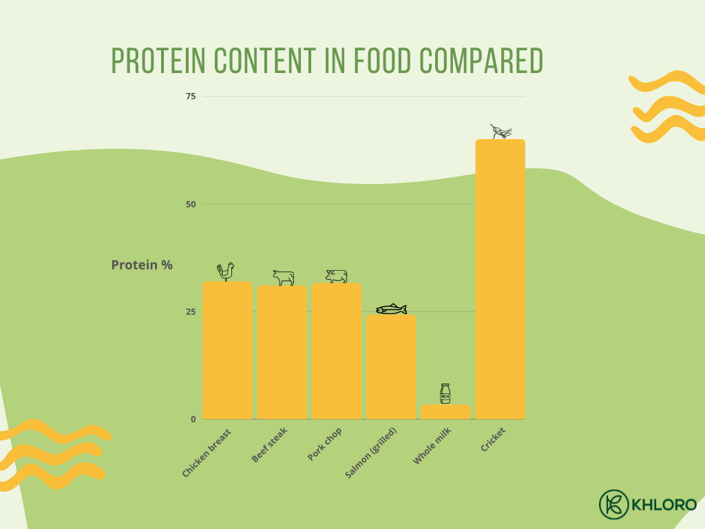 Insect protein alternatives to Whey protein: | by Khloro | Medium