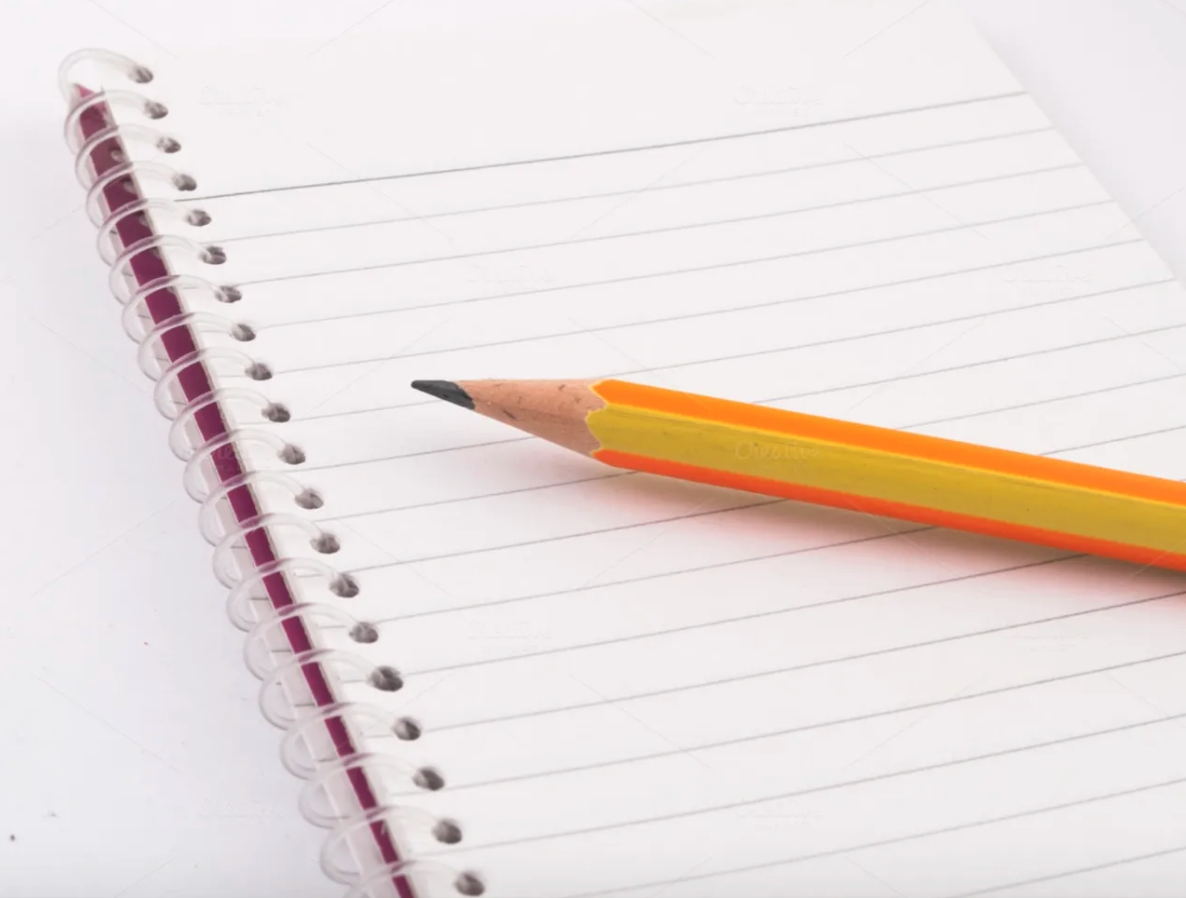 Risky Business: Make Big Decisions and Avoid the Pros/Cons Trap | Susan ...