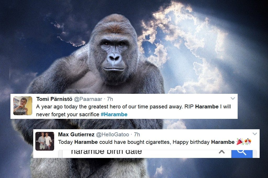 How Social Media is changing Photography, and Why that is a Good Thing ...