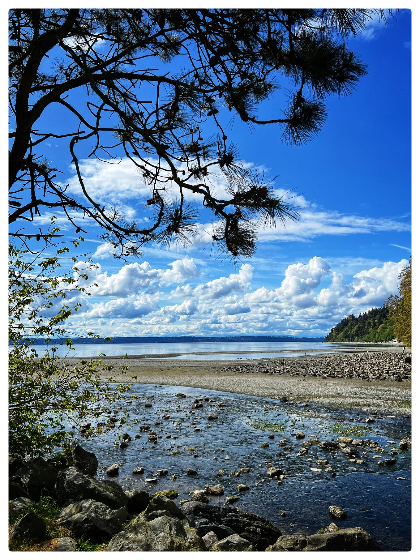 Here and There. - Marty Dugan - Medium