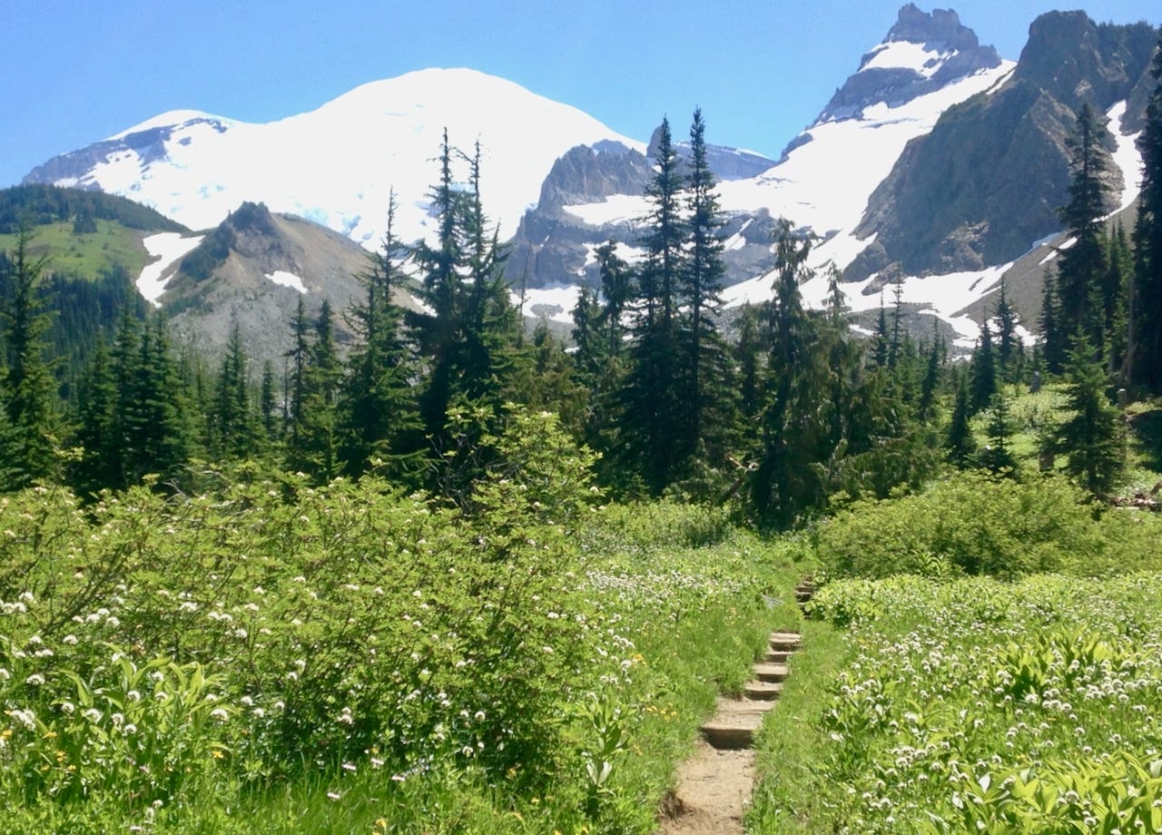 How One Glimpse Beyond Changed My Life Twice | by Joni Sensel | Medium