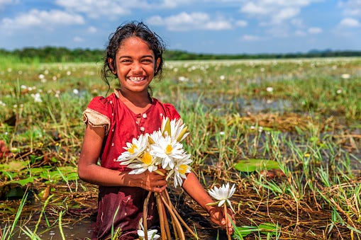 Poisonous Daisy. The tale of Deana is strange and… | by Eksara Jayan ...