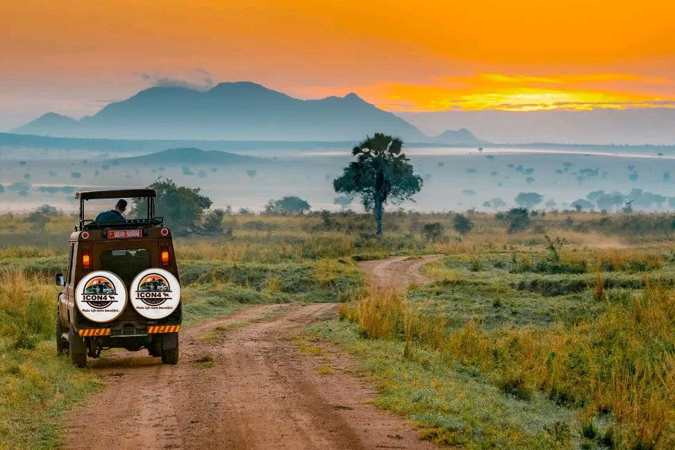 Icon4 Tours and Travel Uganda!- Discover the Pearl of Africa with 🌍 ...