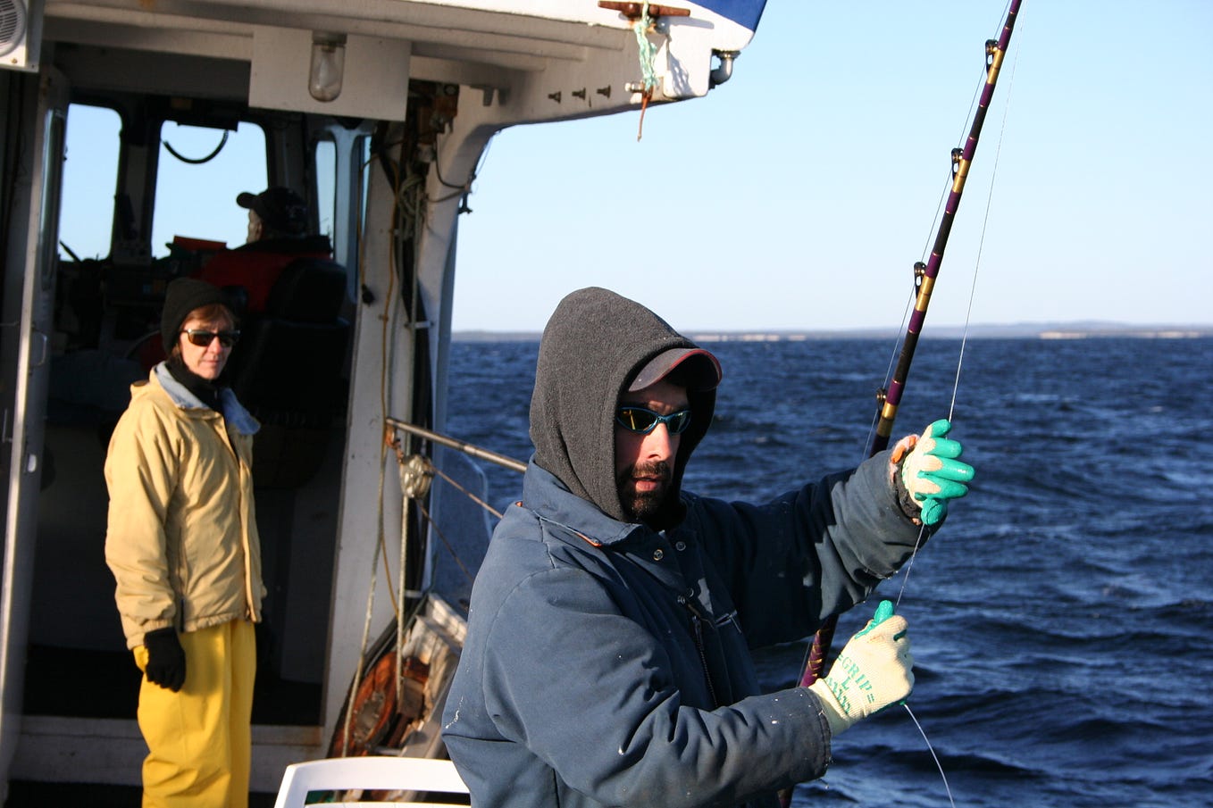 A curious case of dissolved oxygen and striped marlin | by Tuna Lab ...