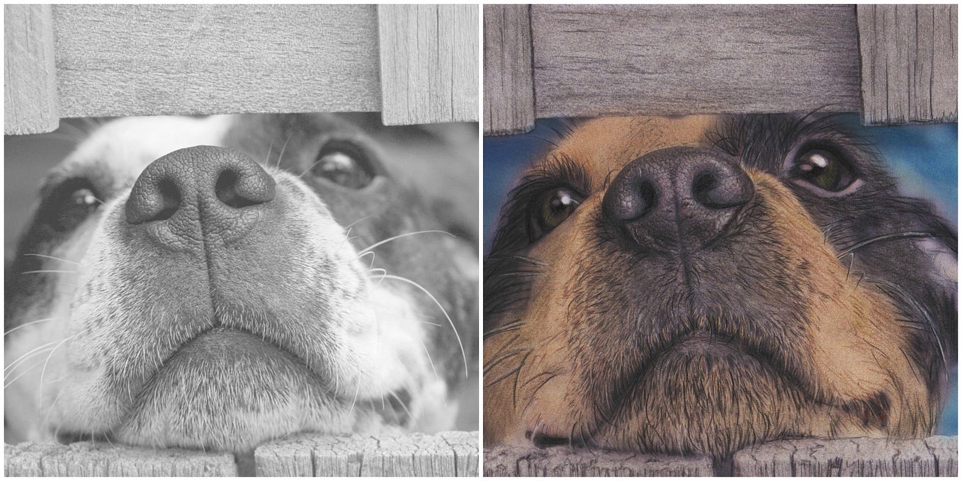 10 Fabulous Grayscale Coloring Tips | by Nicole Stocker | Medium