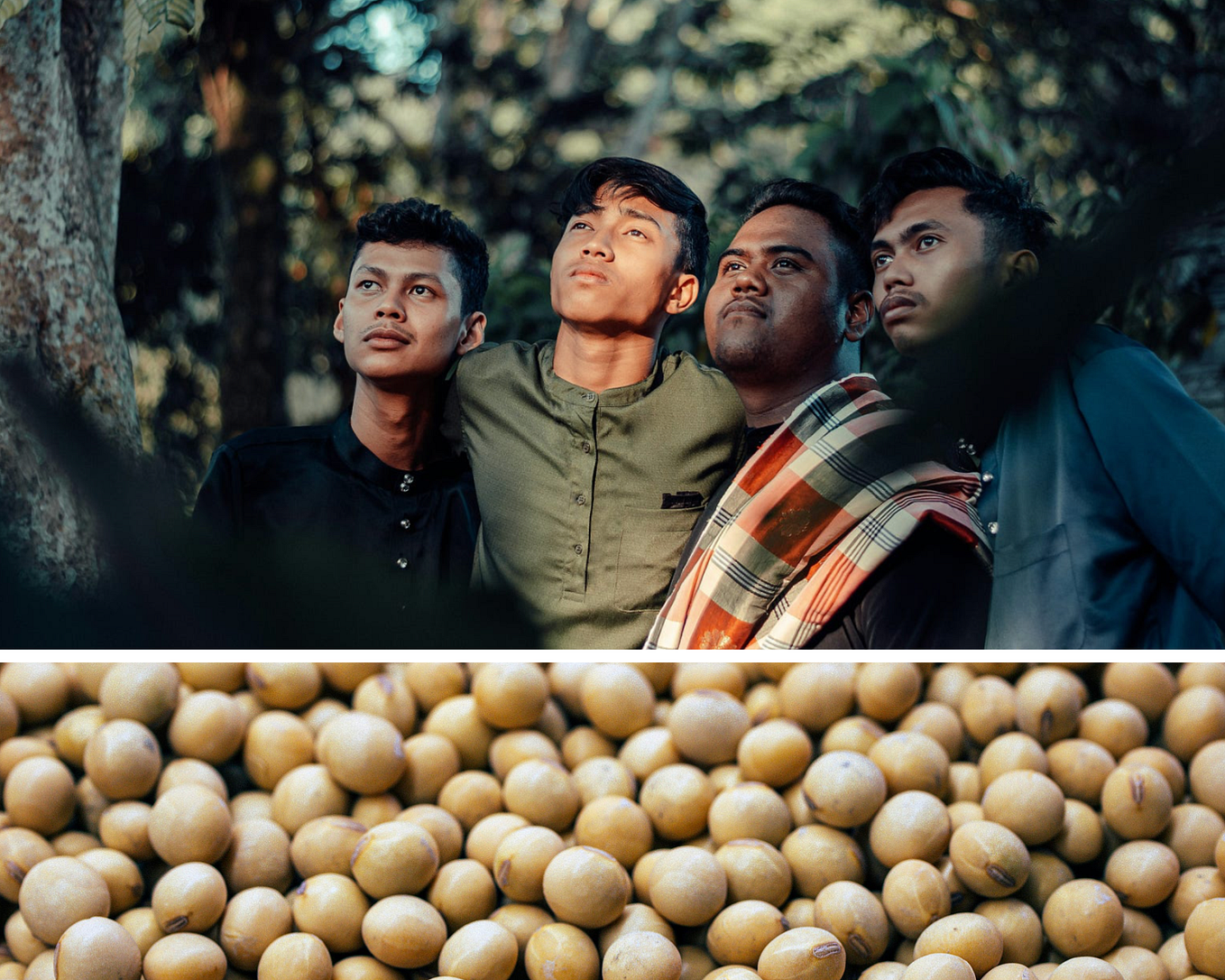 Many thanks! - Ayne - Medium