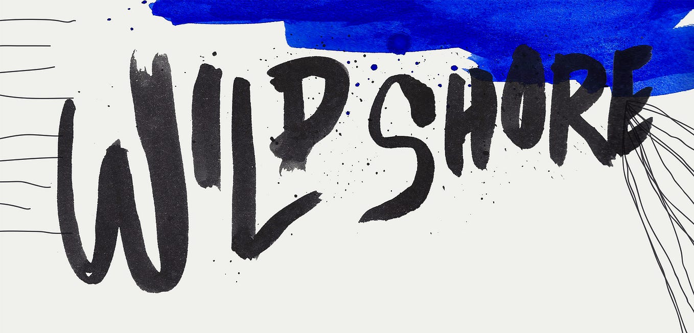 A Cultural Grenade. A new brand book gives a jolt to… | by Wild Shore ...