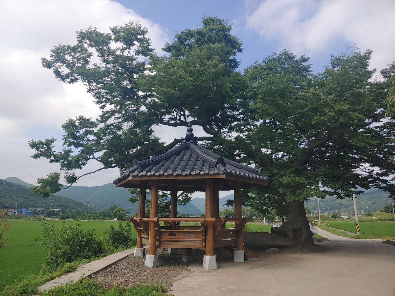 Writing is not about perfection; it is about pouring out your true heart. Your story holds the ...