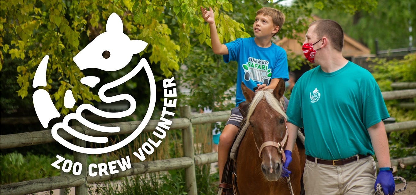 A Day in the Life of a Zookeeper: Behind the Scenes of Animal Care | by ...
